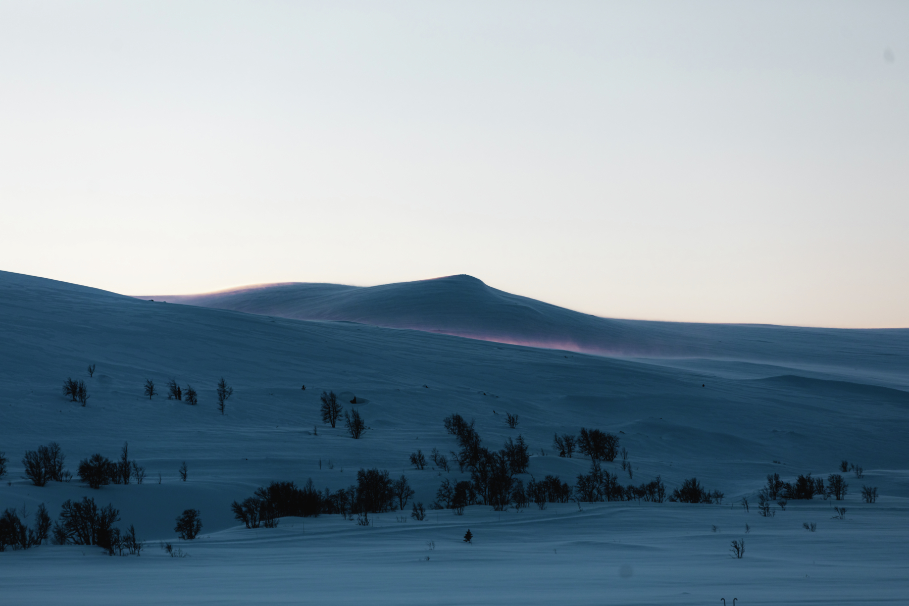 Guided winter tours in Geilo | Geilo