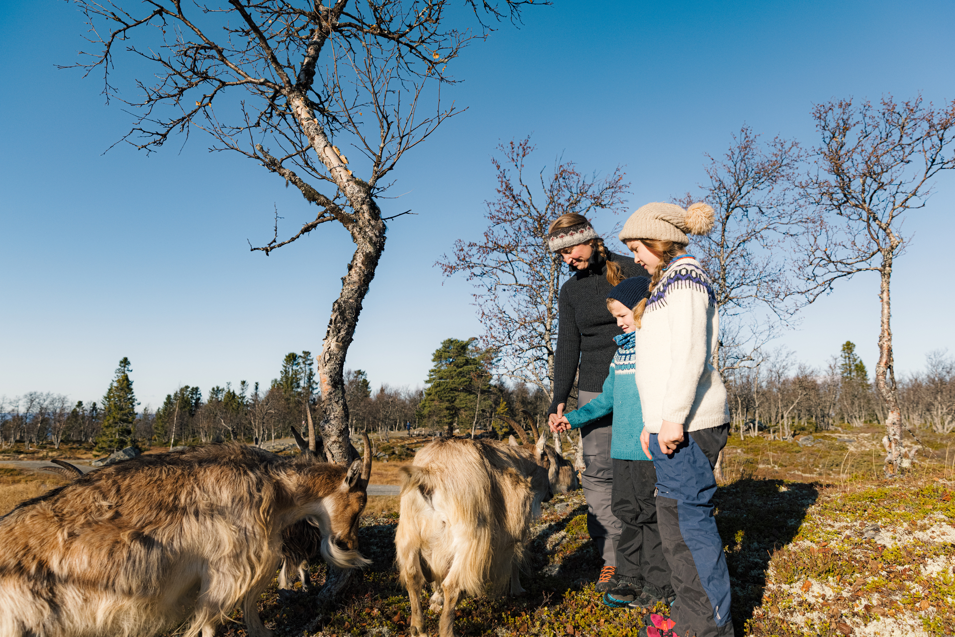 Langedrag Naturpark - Opplevelser for hele familien! | Geilo | Geilo