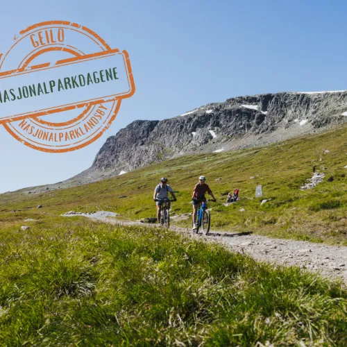 Sommer på Geilo | Geilo