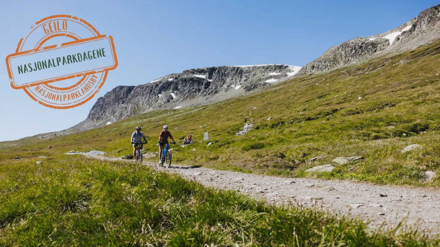 Geilo arrangerer nasjonalparkdagene i august hvert år | Geilo