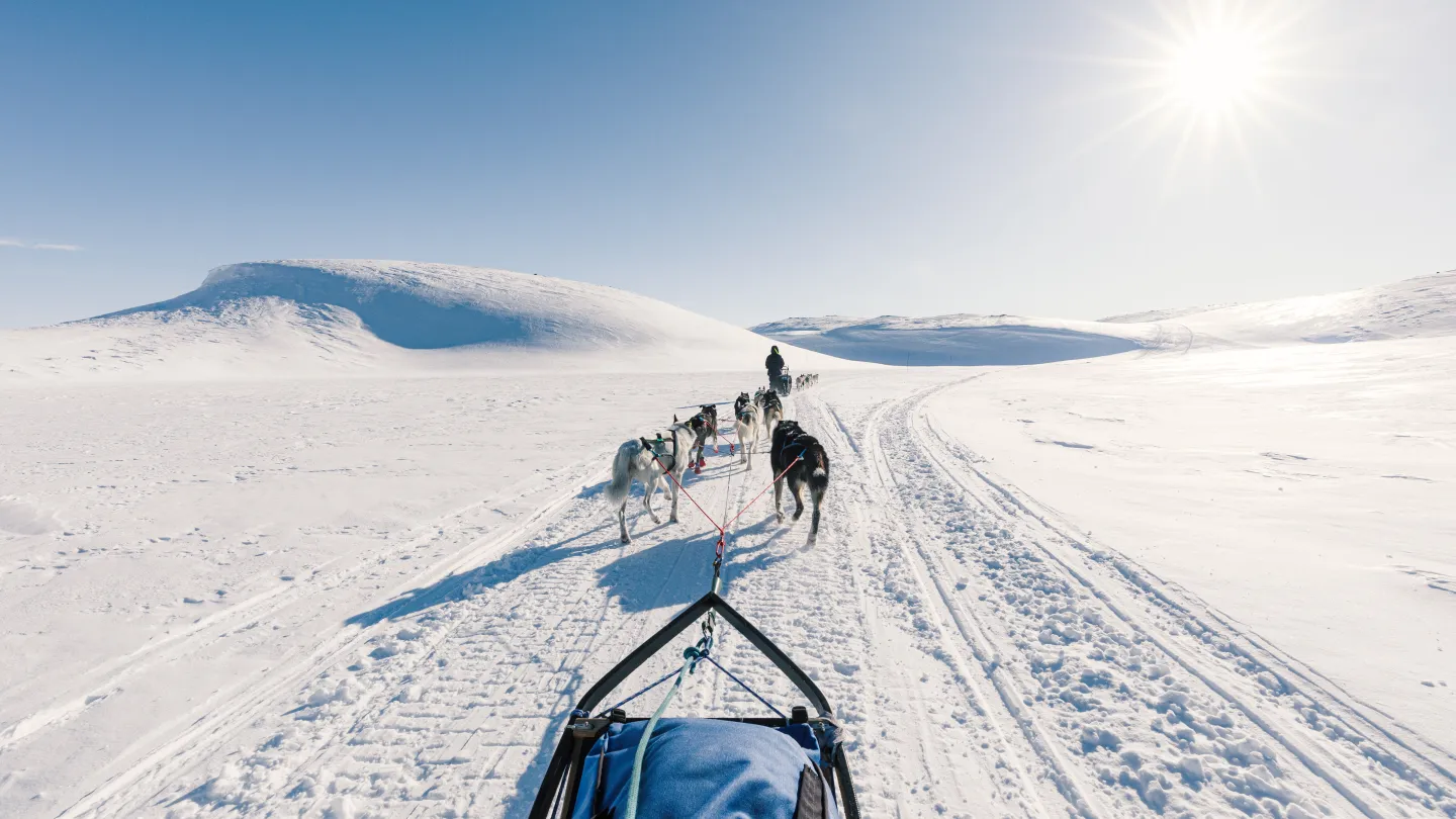 Winter activities for kids | Geilo